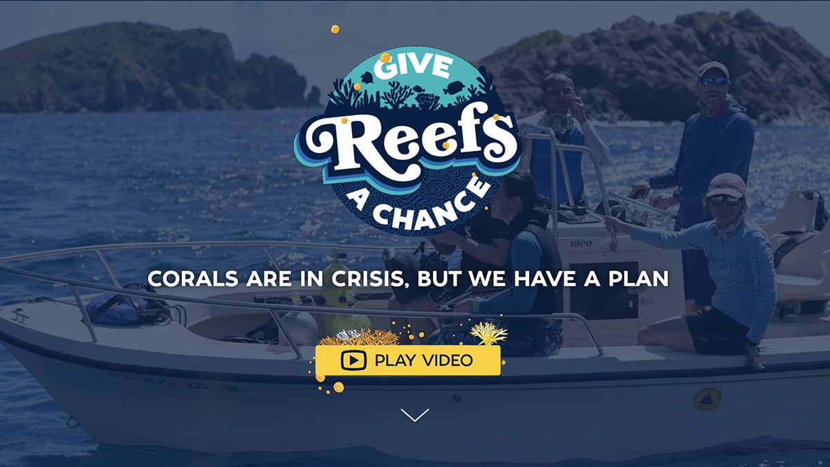 Give Reefs a Chance Campaign
