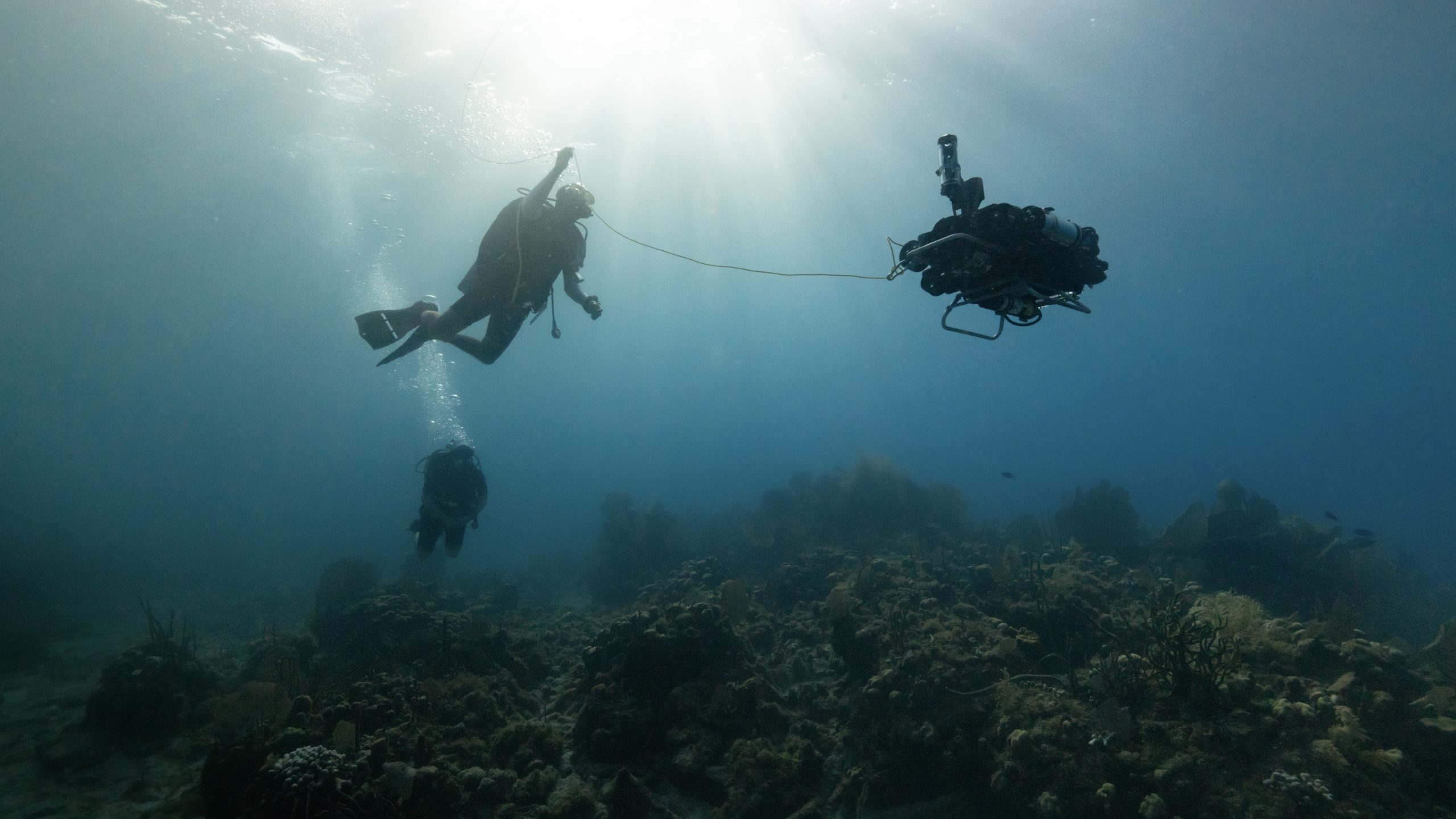 WHOI and UVI extend Partnership