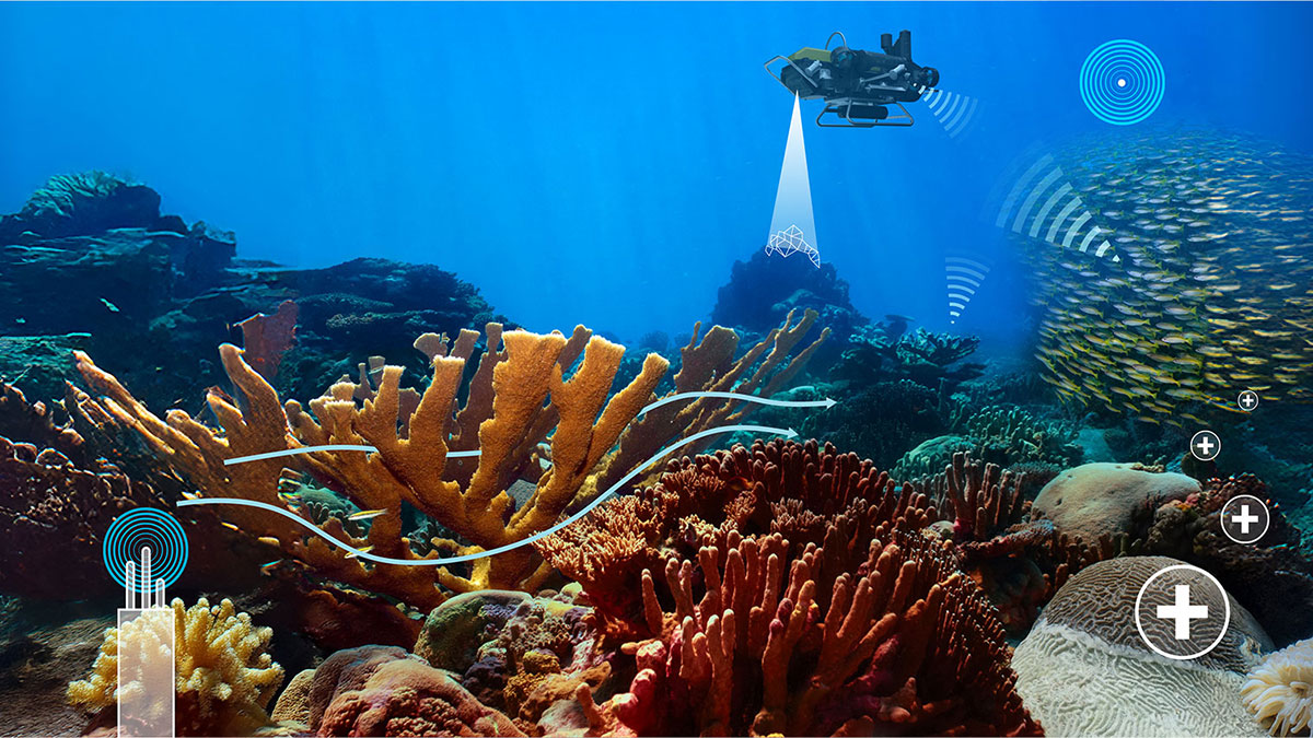 Reef Solutions Gone Global