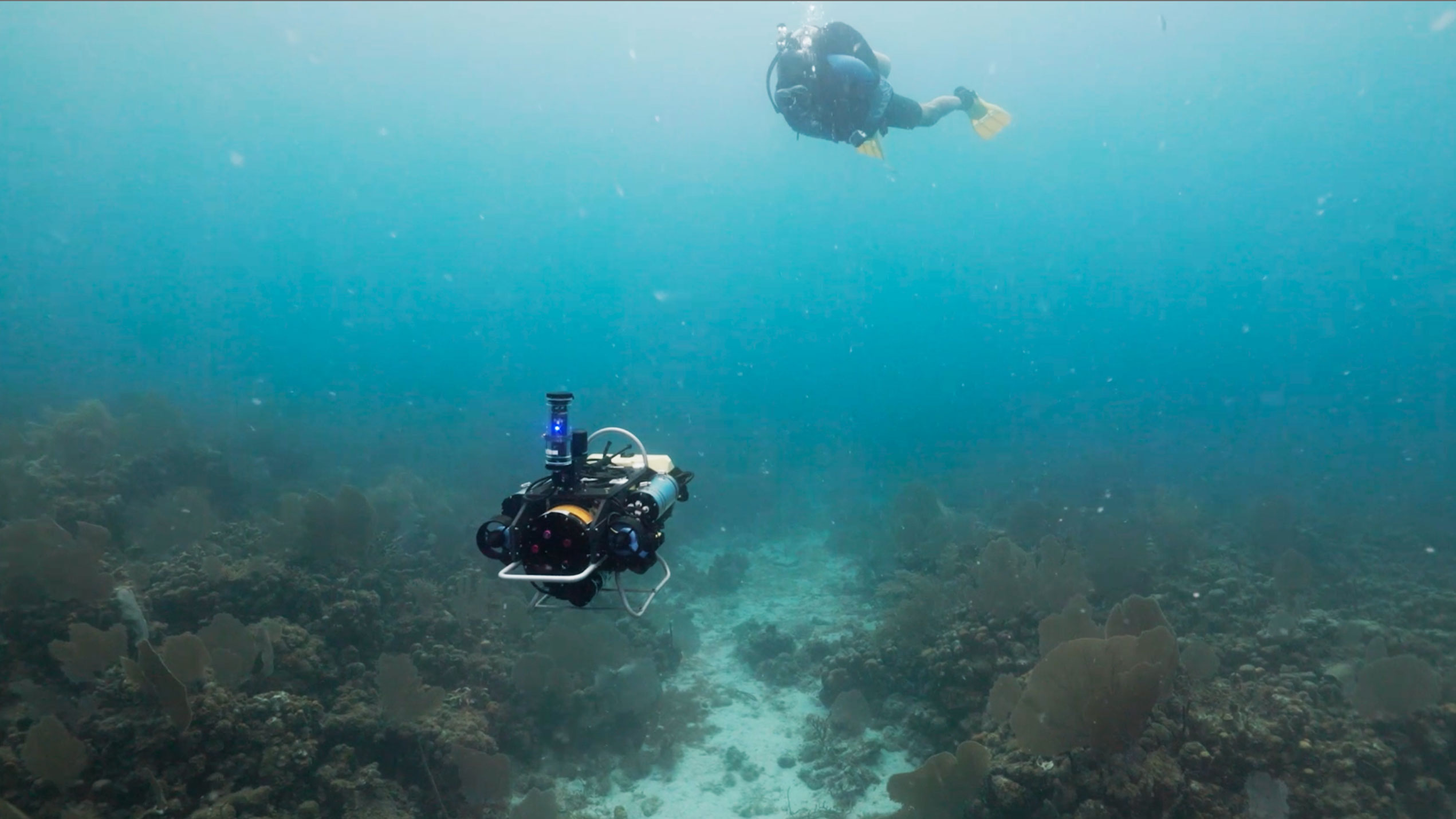 The Race to Engineer Coral Reef Solutions in the U.S. Virgin Islands